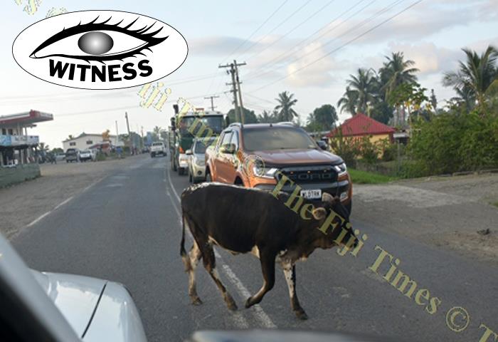 Translation issue - The Fiji Times