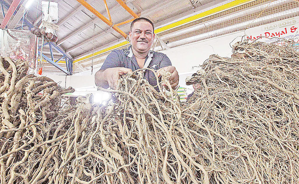 Editorial comment - Excessive consumption of yaqona - The Fiji Times