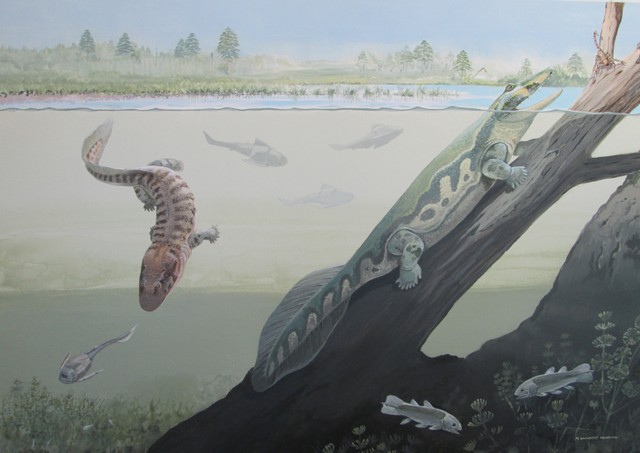 South African fossils rewrite early history of life on land - The Fiji ...