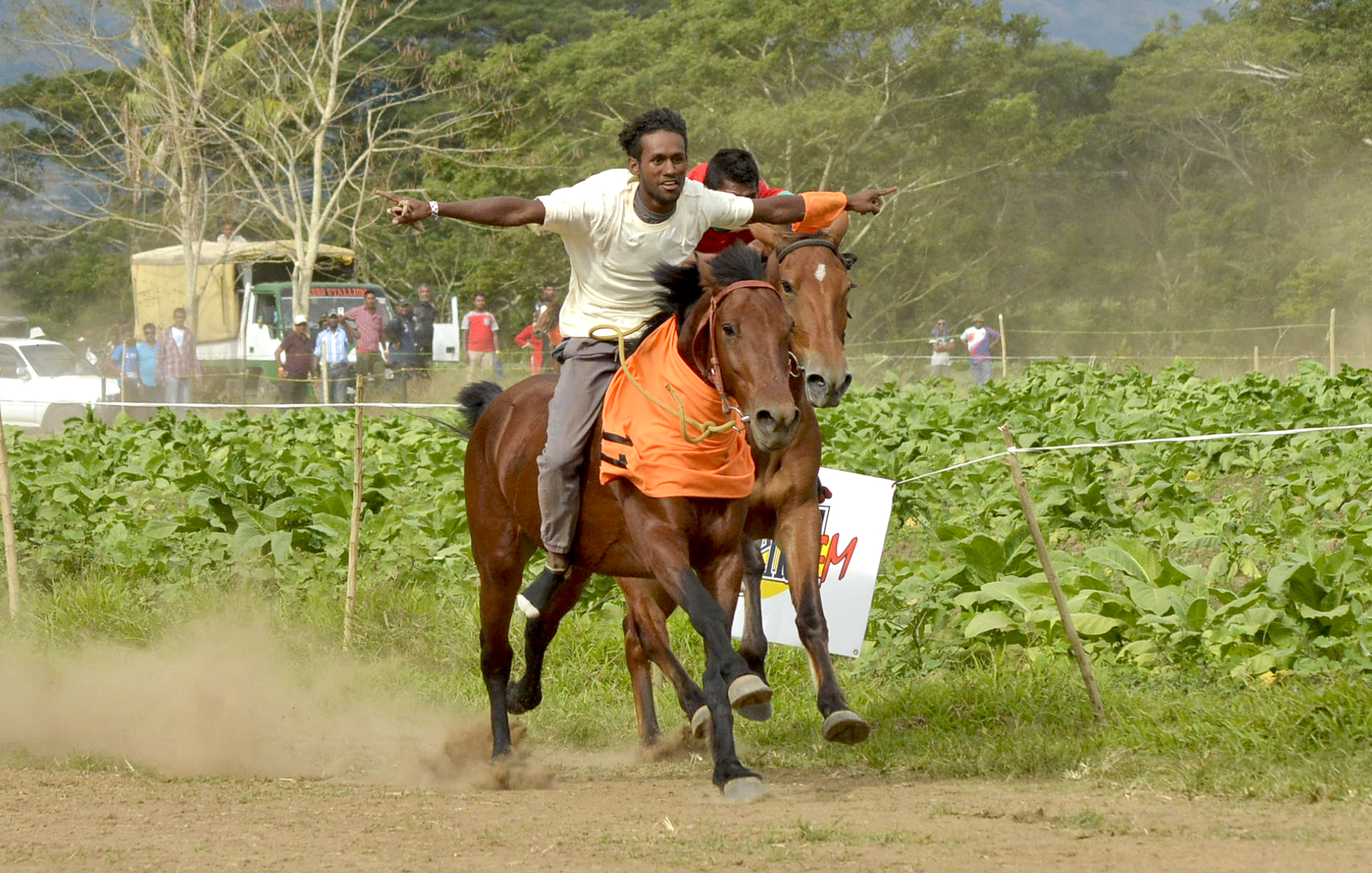 Nadi horserace tracks get upgrade - The Fiji Times