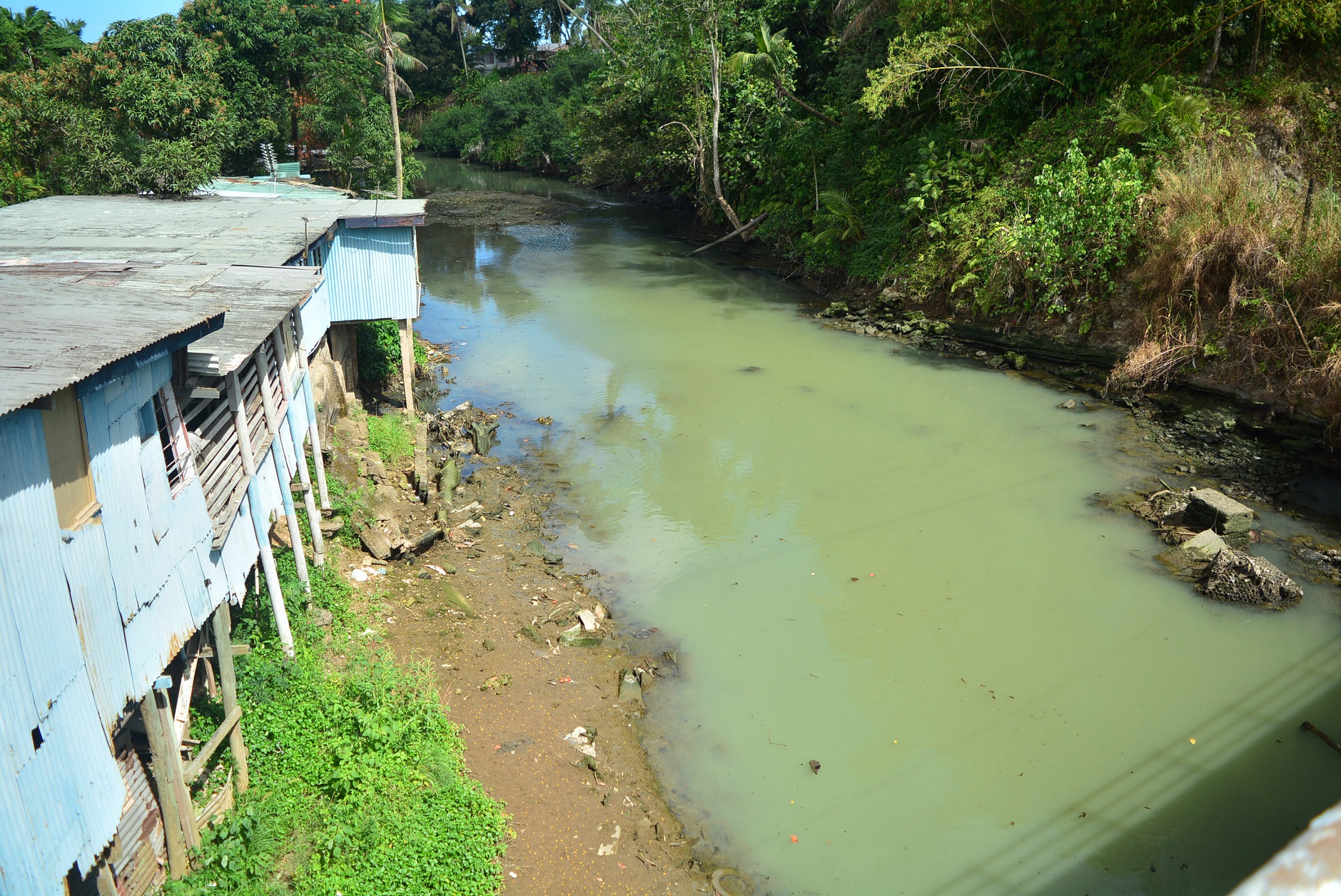 Expert calls on authorities to analyse Samabula river - The Fiji Times