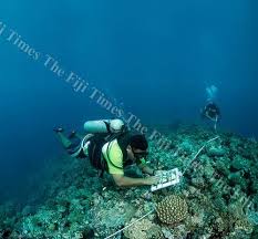 $87m for coral reef protection - The Fiji Times