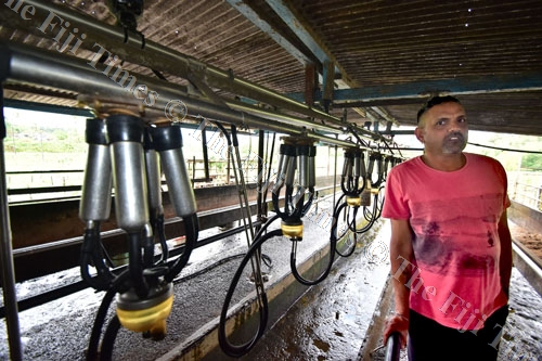 Reddy notes low milk production in Fijian cattles - The Fiji Times
