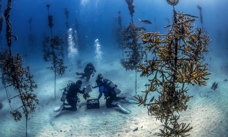 World's top fishing nations to be given millions to protect oceans ...
