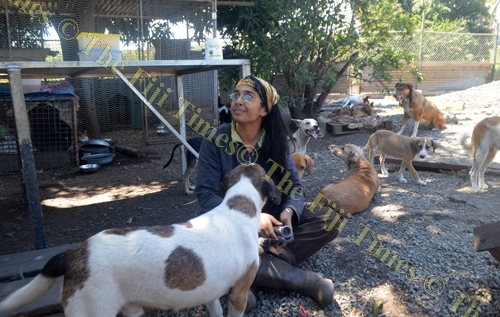 The Fiji Times » News