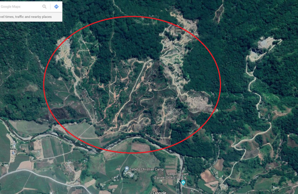 State stops logging - The Fiji Times