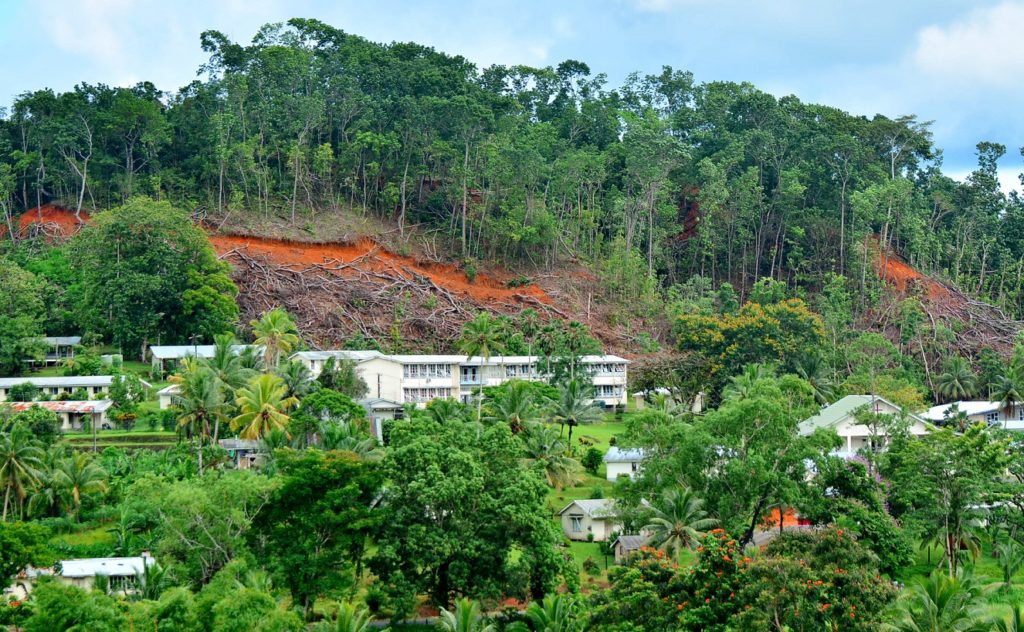 Trees are our best buffer - The Fiji Times