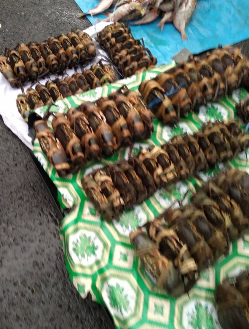 Campaign to target inshore fish and crab sizes - The Fiji Times