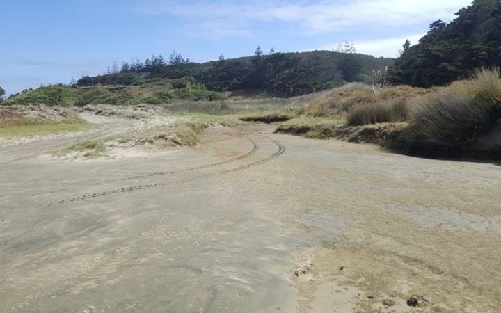 Freshwater streams drying up in Northland - The Fiji Times