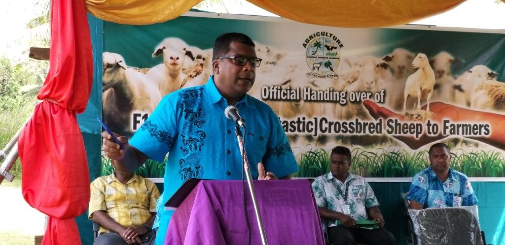 Sheep production expected to increase - The Fiji Times