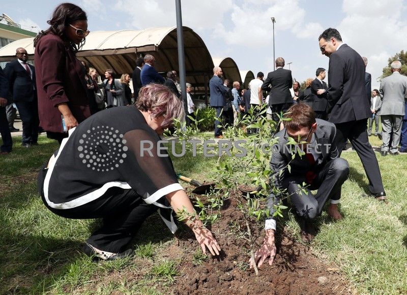 Olive tree with soil from Ethiopia crash site unites mourners - The ...