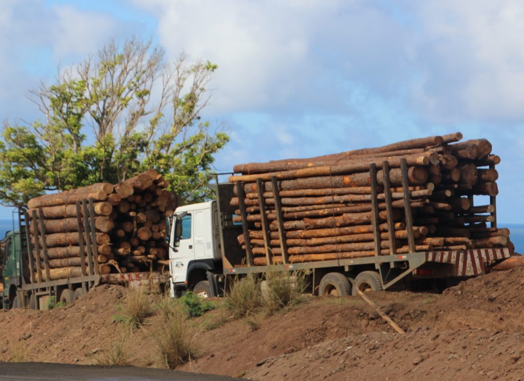 Pledge against illegal logging targets awareness - The Fiji Times