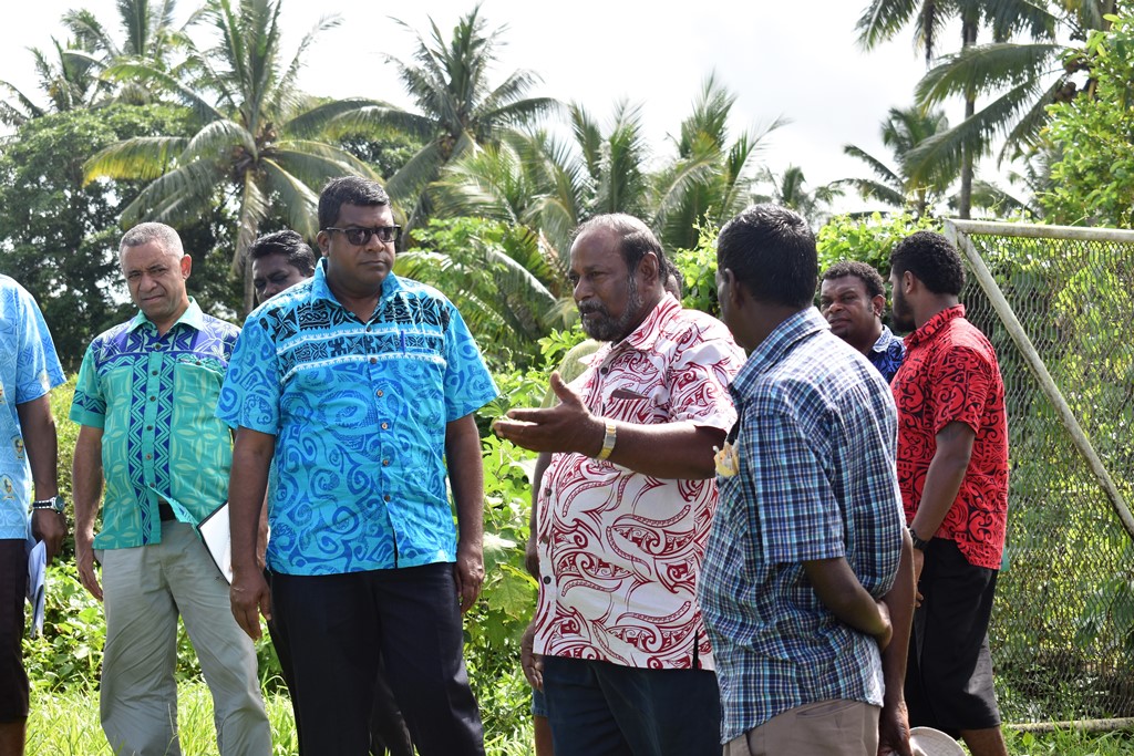 Reviving rice industry remains a priority: Reddy - The Fiji Times