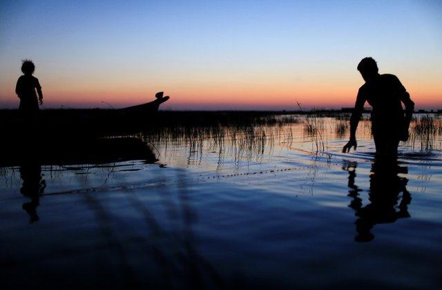 'Water is life': unexpected rainfall revives Iraq's historic marshlands ...