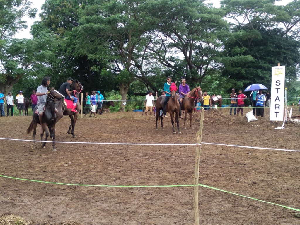 Sabeto Horse Races: Wet weather fails to dampen spirit - The Fiji Times