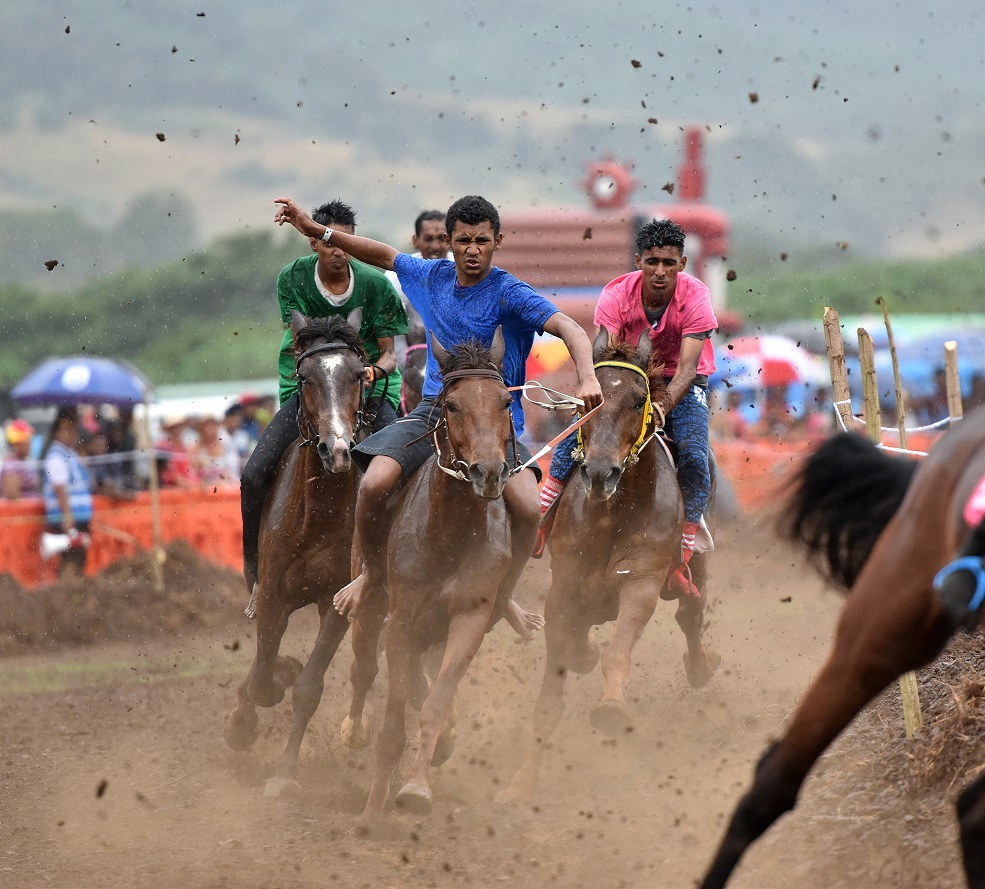 Horse owners want to form association - The Fiji Times