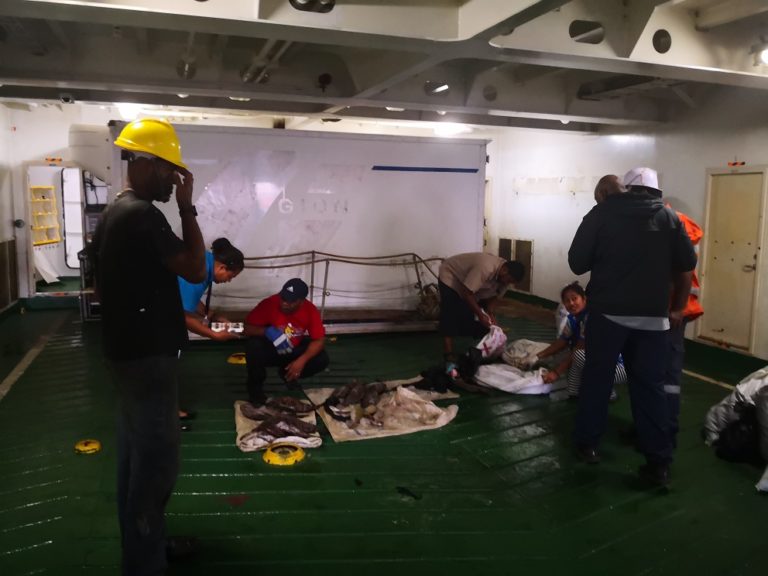 Ministry seizes fish - The Fiji Times