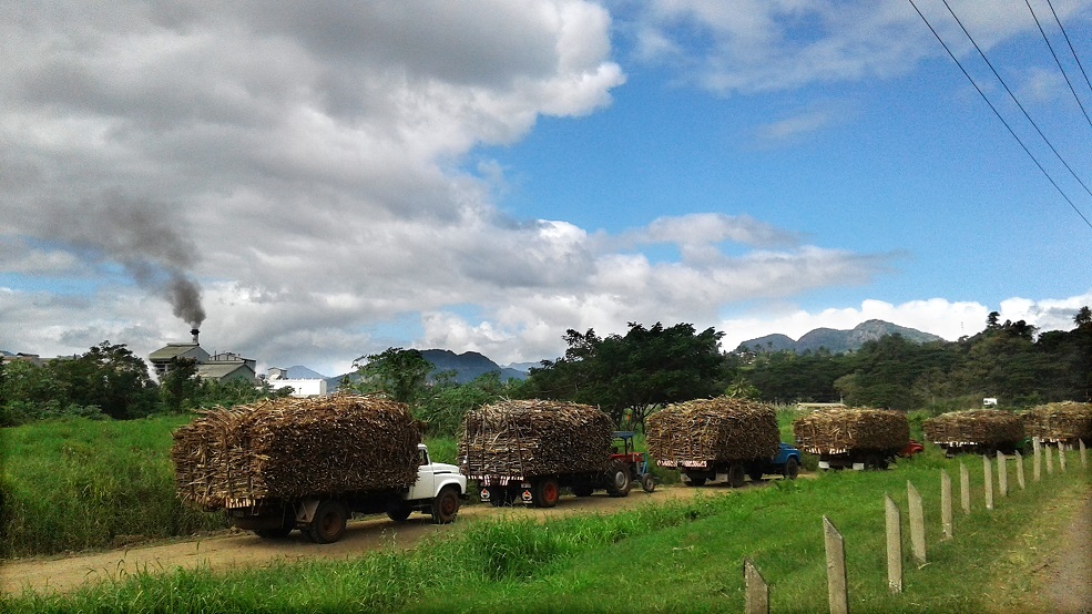 Review reveals FSC guarantees no longer a contingent liability - The ...