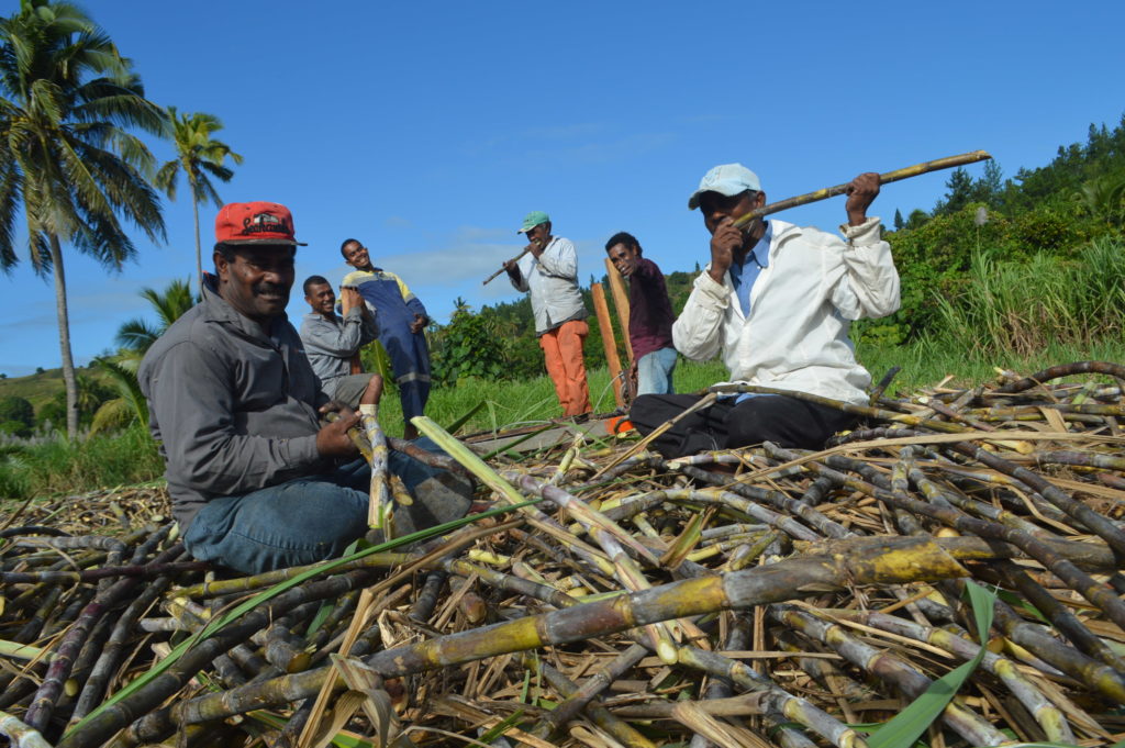 Editorial comment | Revitalising the sugar industry - The Fiji Times