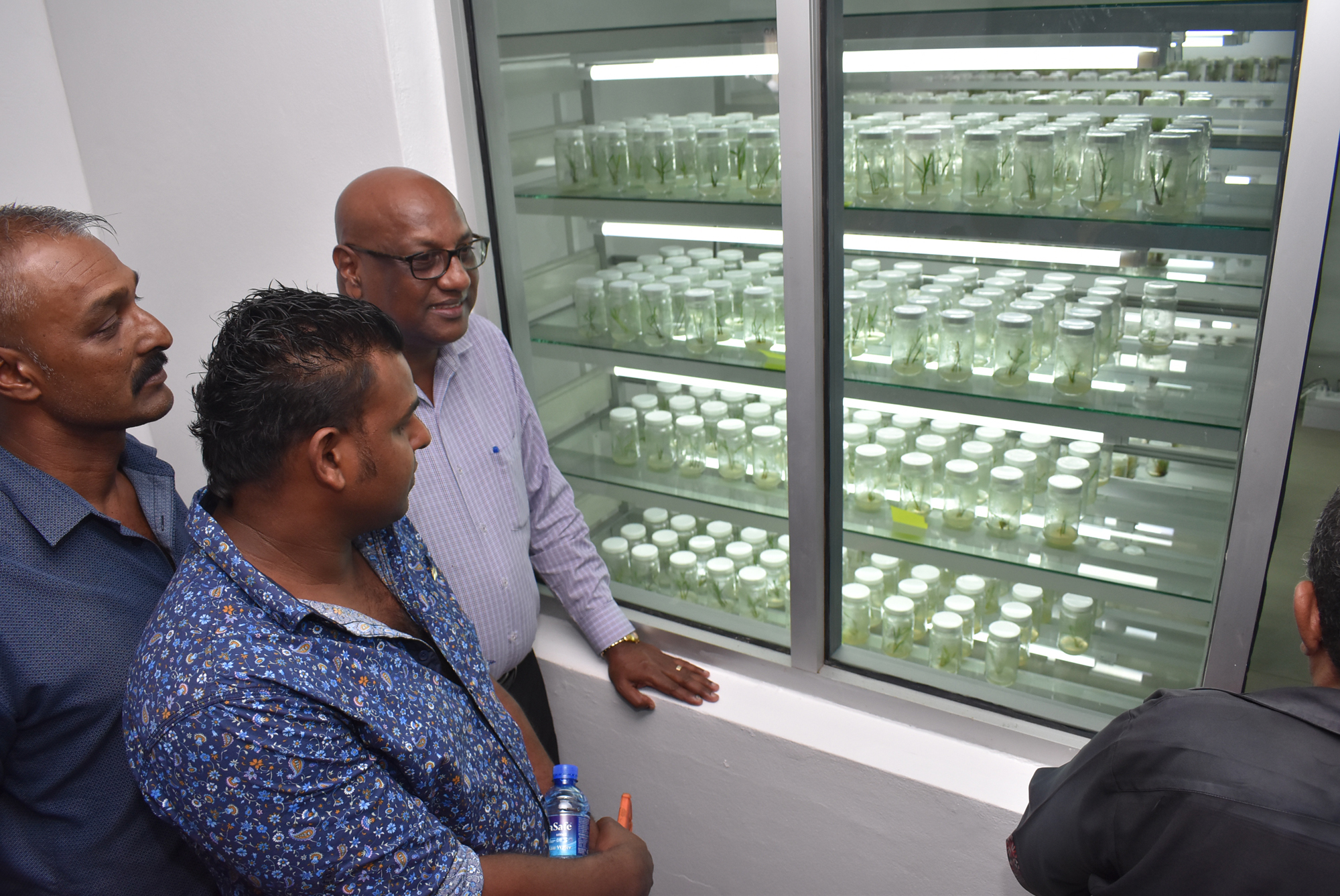 FSC rebrands Fijian sugar with new look - The Fiji Times
