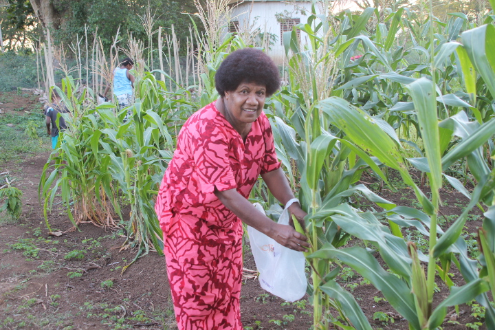 Less talk, more action - The Fiji Times
