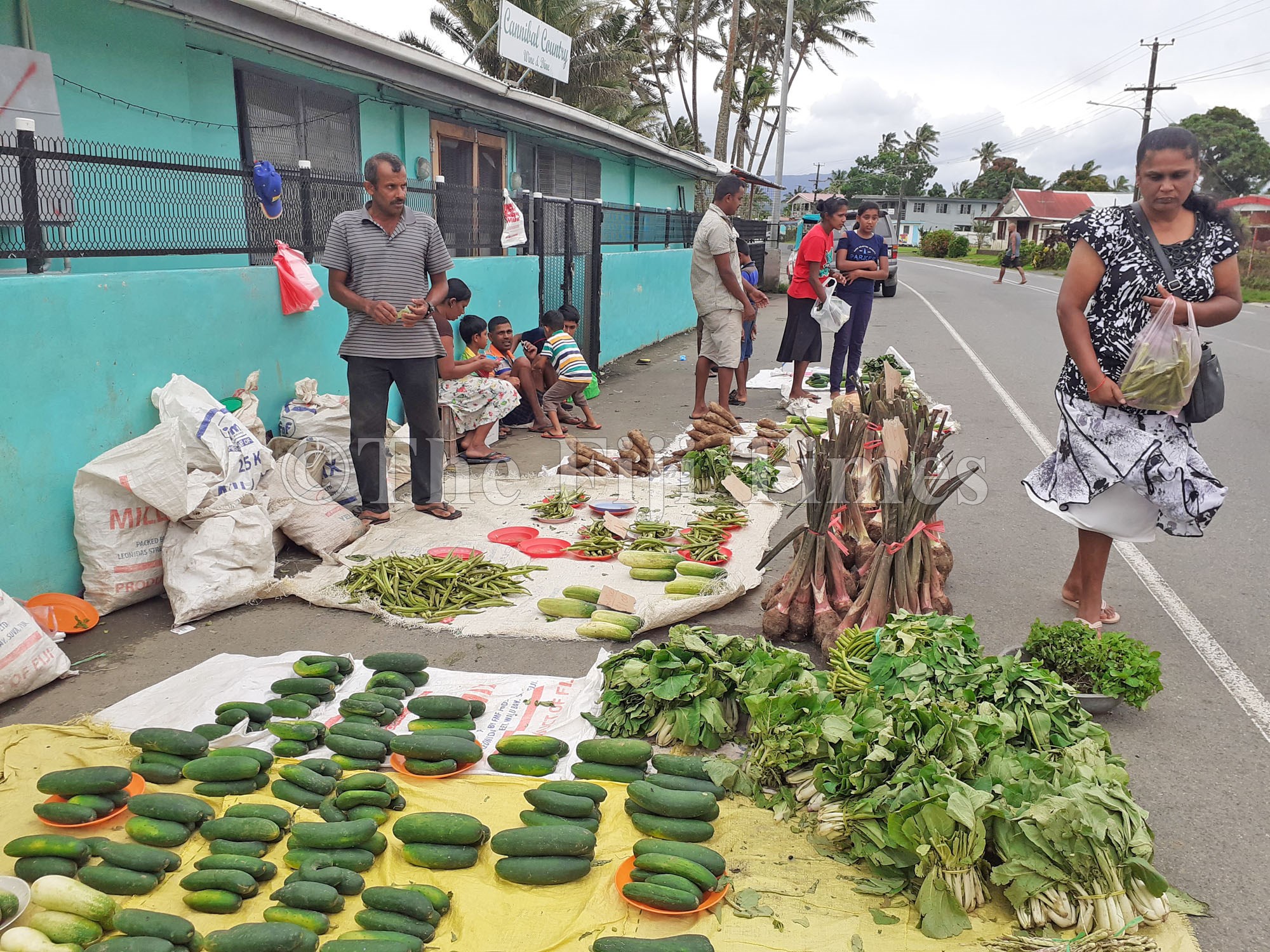 TC Sarai devastates farms - The Fiji Times