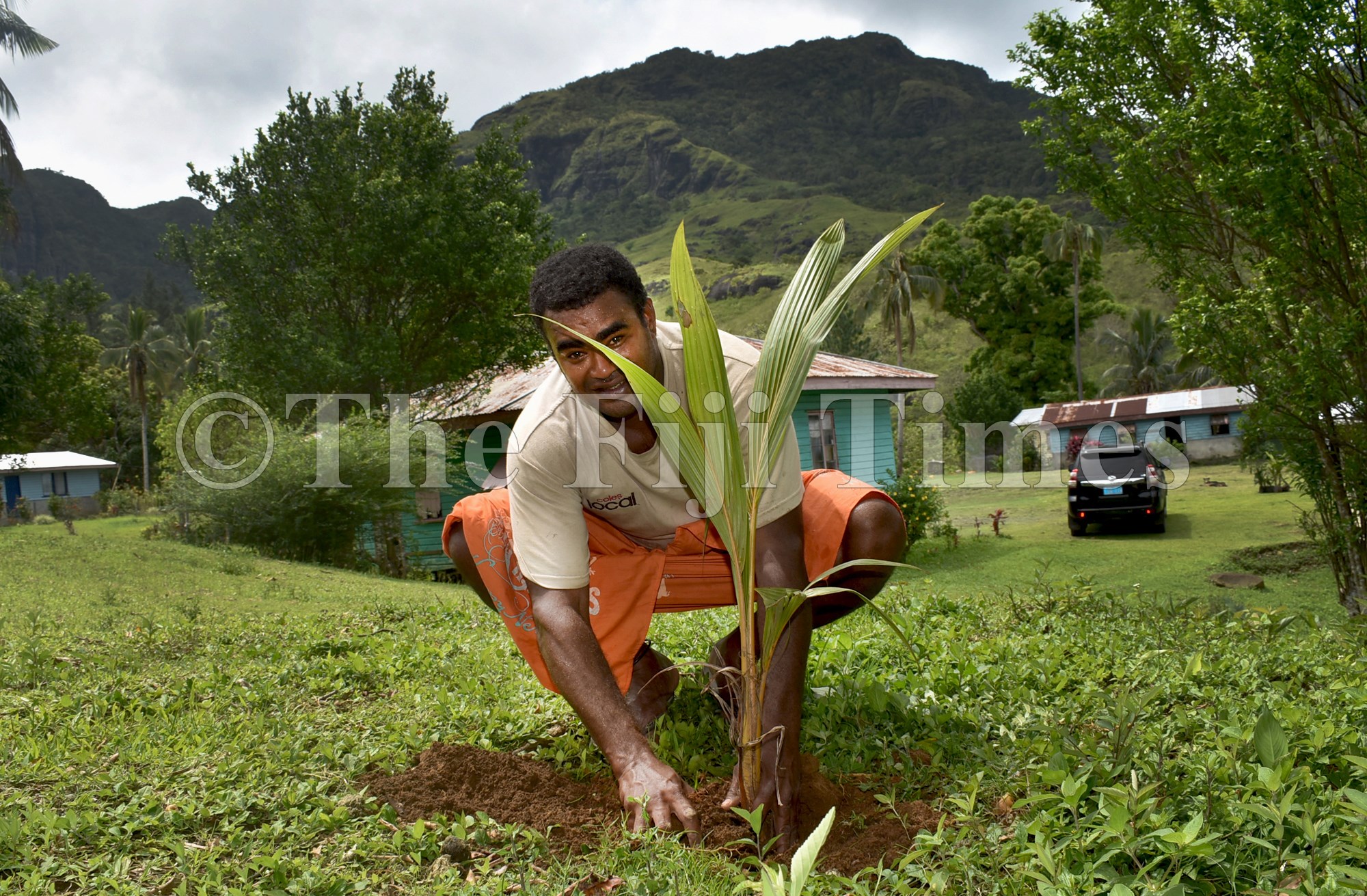 Villagers urged to plant more trees - The Fiji Times