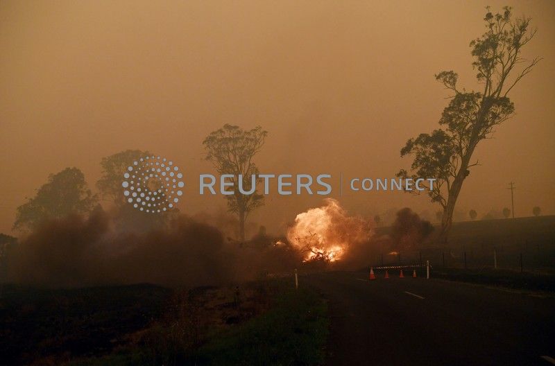Graphic: Sizing up Australia's bushfires - The Fiji Times