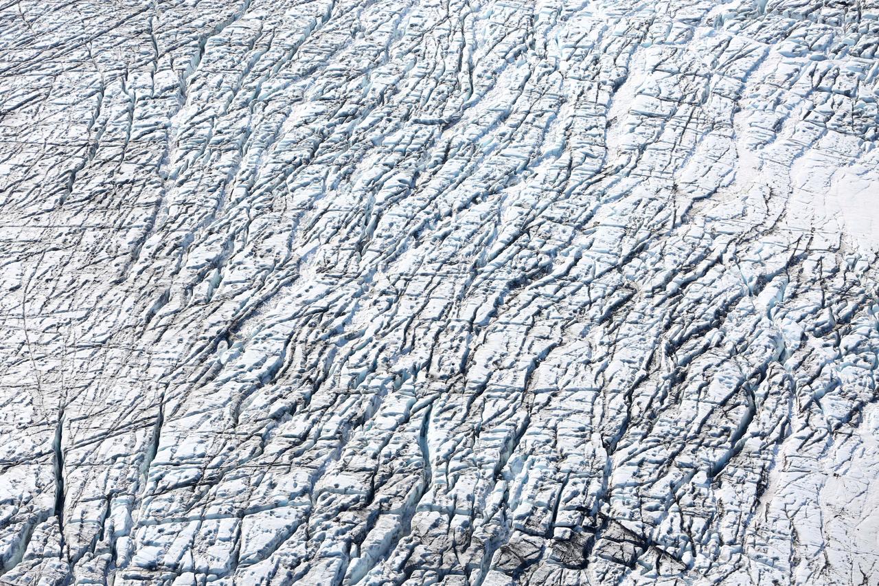 Frozen and desolate Antarctica once boasted warm, swampy rainforests ...