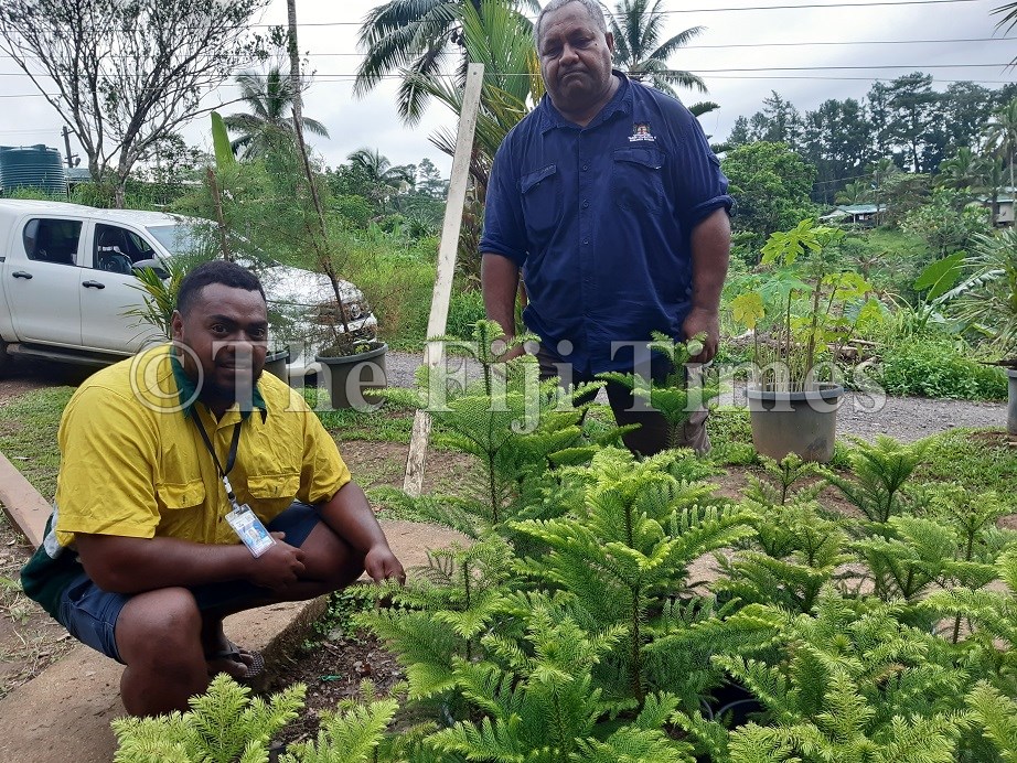 Vuli calls it a day - The Fiji Times