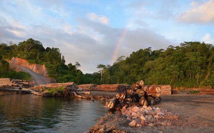 Report alleges illegal logging on PNG’s Manus Island - The Fiji Times