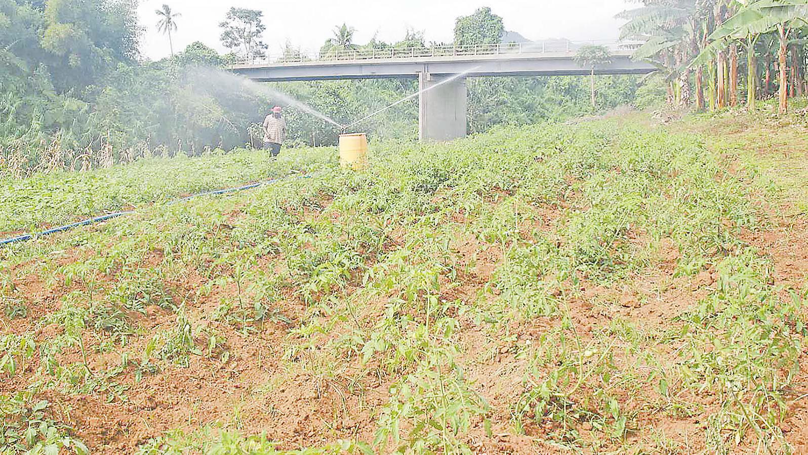 17 year drought ends - The Fiji Times
