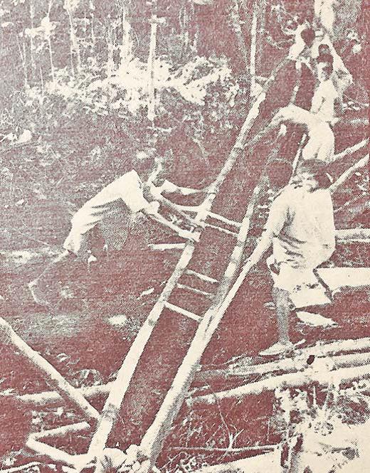 150th anniversary: Men display ‘drua’ skills - The Fiji Times