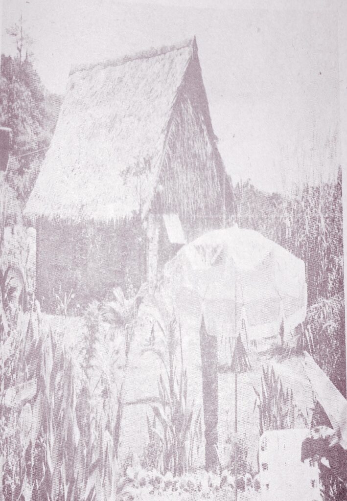 The history of Fiji tourism - The Fiji Times
