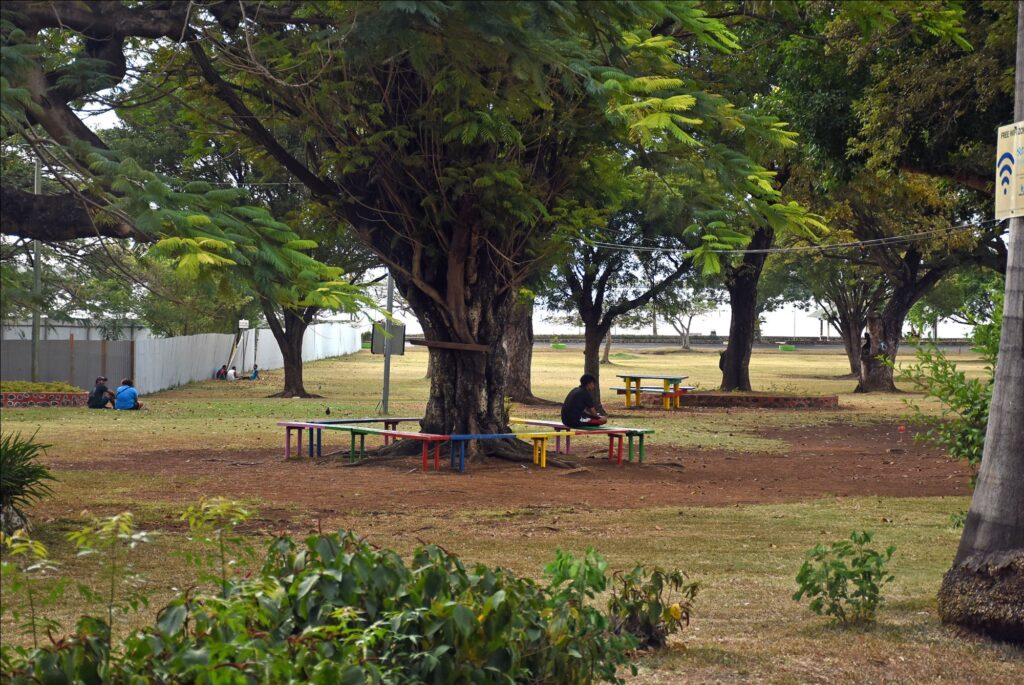 $560,000 for park - The Fiji Times