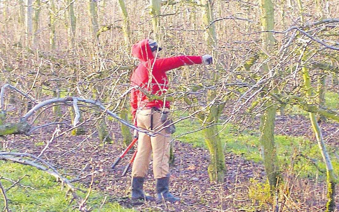 Seasonal workers - Social and economic impacts - The Fiji Times