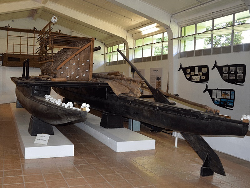 Discovering Fiji: Sustainable Sovereigns of the South Sea - The Fiji Times