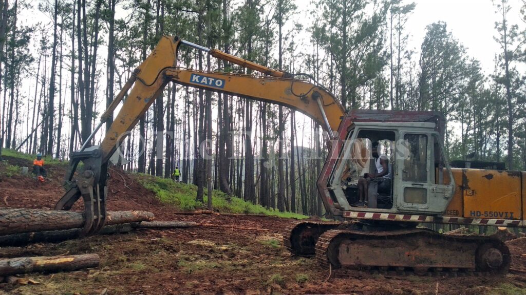 Sawn pine timber available at port - The Fiji Times