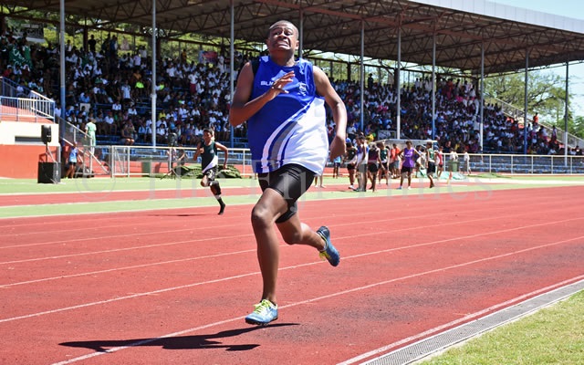 Xavier in top form - The Fiji Times