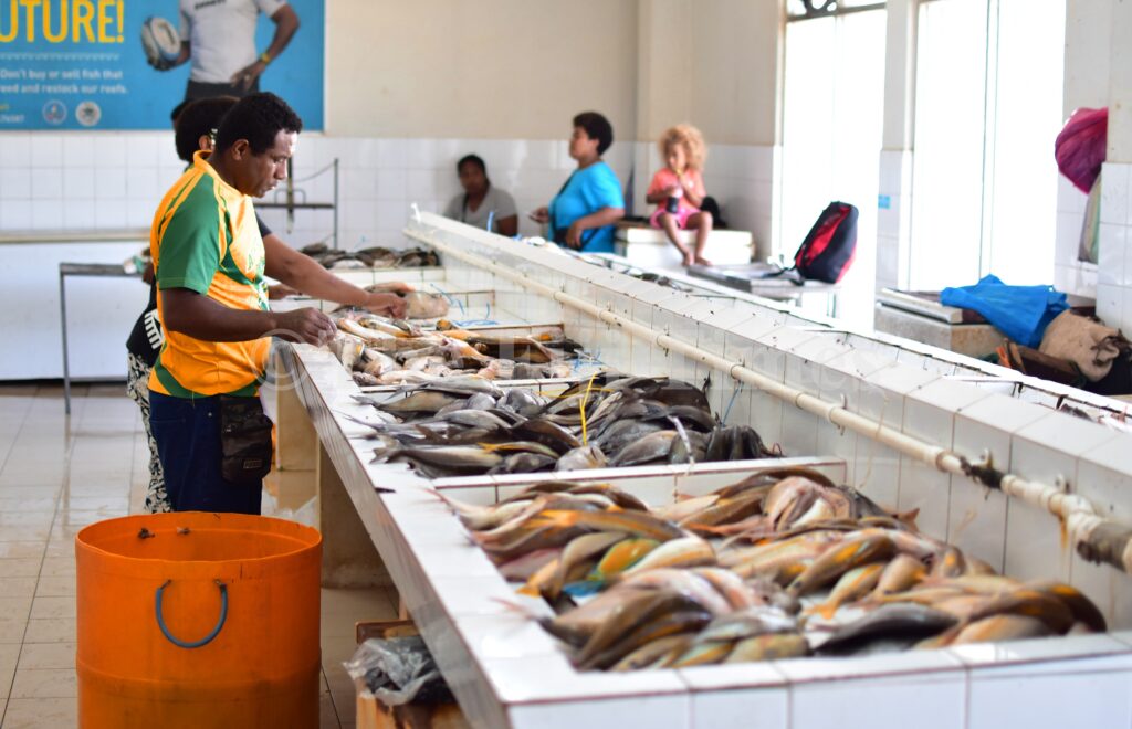 Weather affects fish sales - The Fiji Times