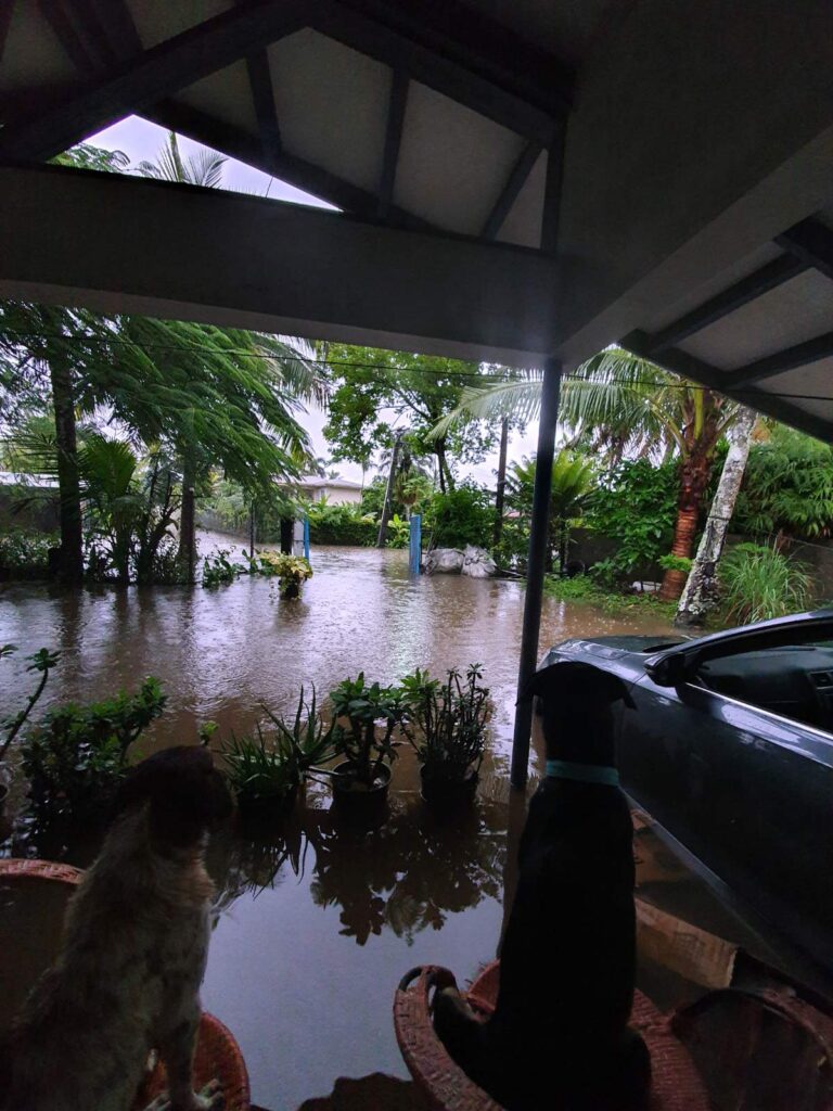 Heavy rain flood homes in Nasese - The Fiji Times
