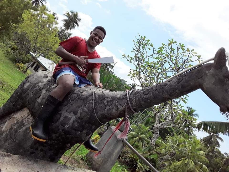 Discovering Fiji: Kubulau - Strange animals and the priest who created ...
