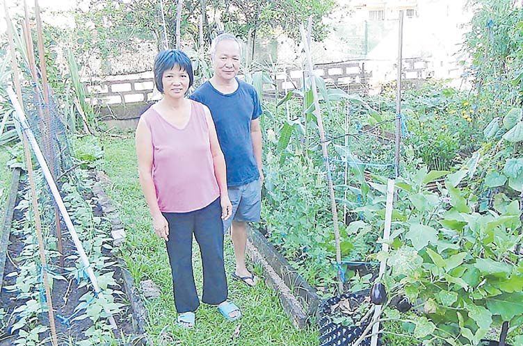 Yee recalls growing up in rural Fiji - The Fiji Times