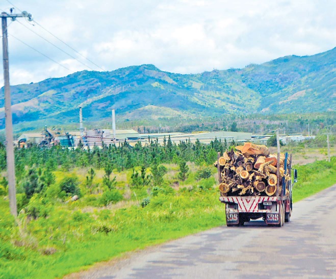 Truck drivers sent home - The Fiji Times