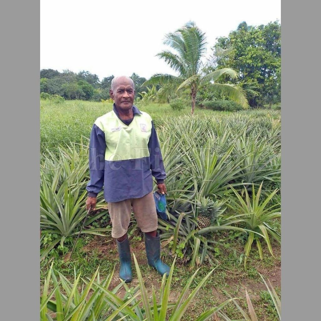 Elder passes on traditional knowledge - The Fiji Times