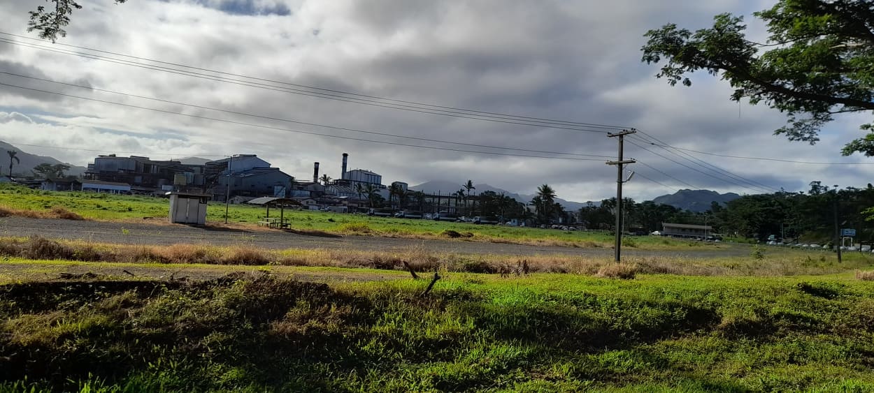 Farmers have not harvested cane; adamant with demand - The Fiji Times