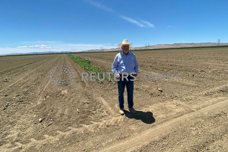 'Big risk': California farmers hit by drought change planting plans ...