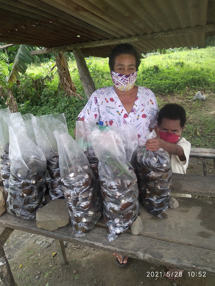 COVID-19: Toga family brave cold waters of the Rewa to fetch mussels to ...