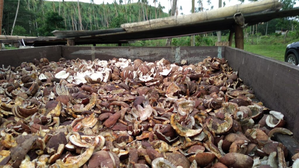 Faith in copra industry remains - The Fiji Times