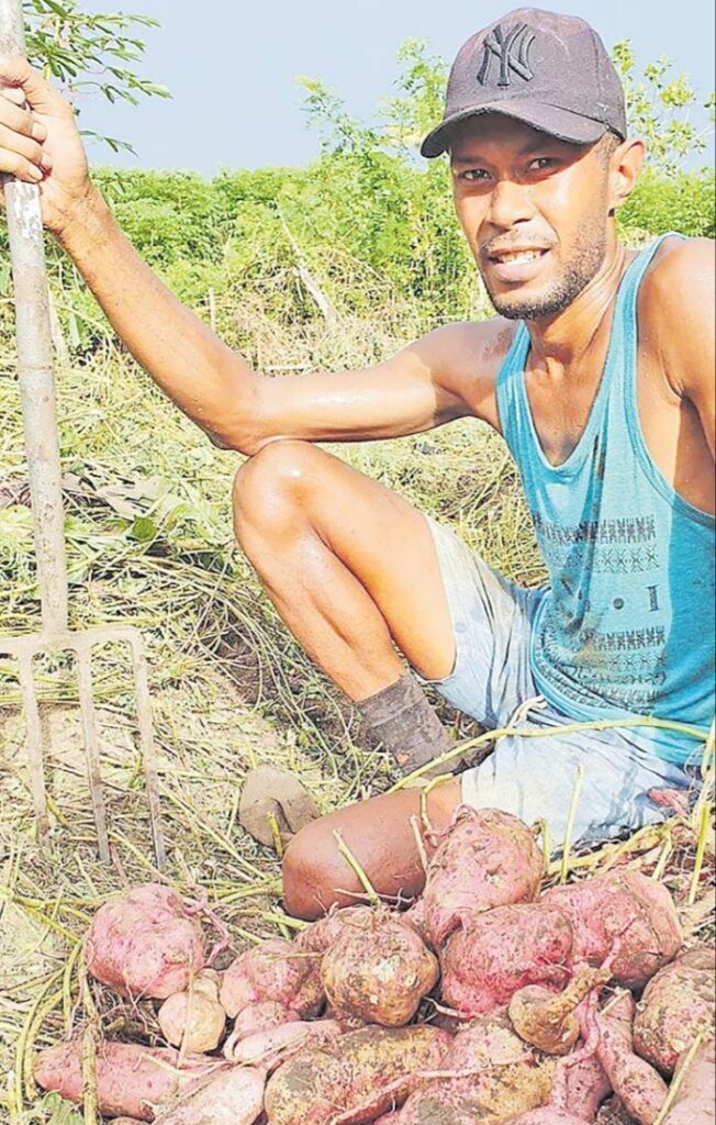 Isireli turns to farming - The Fiji Times